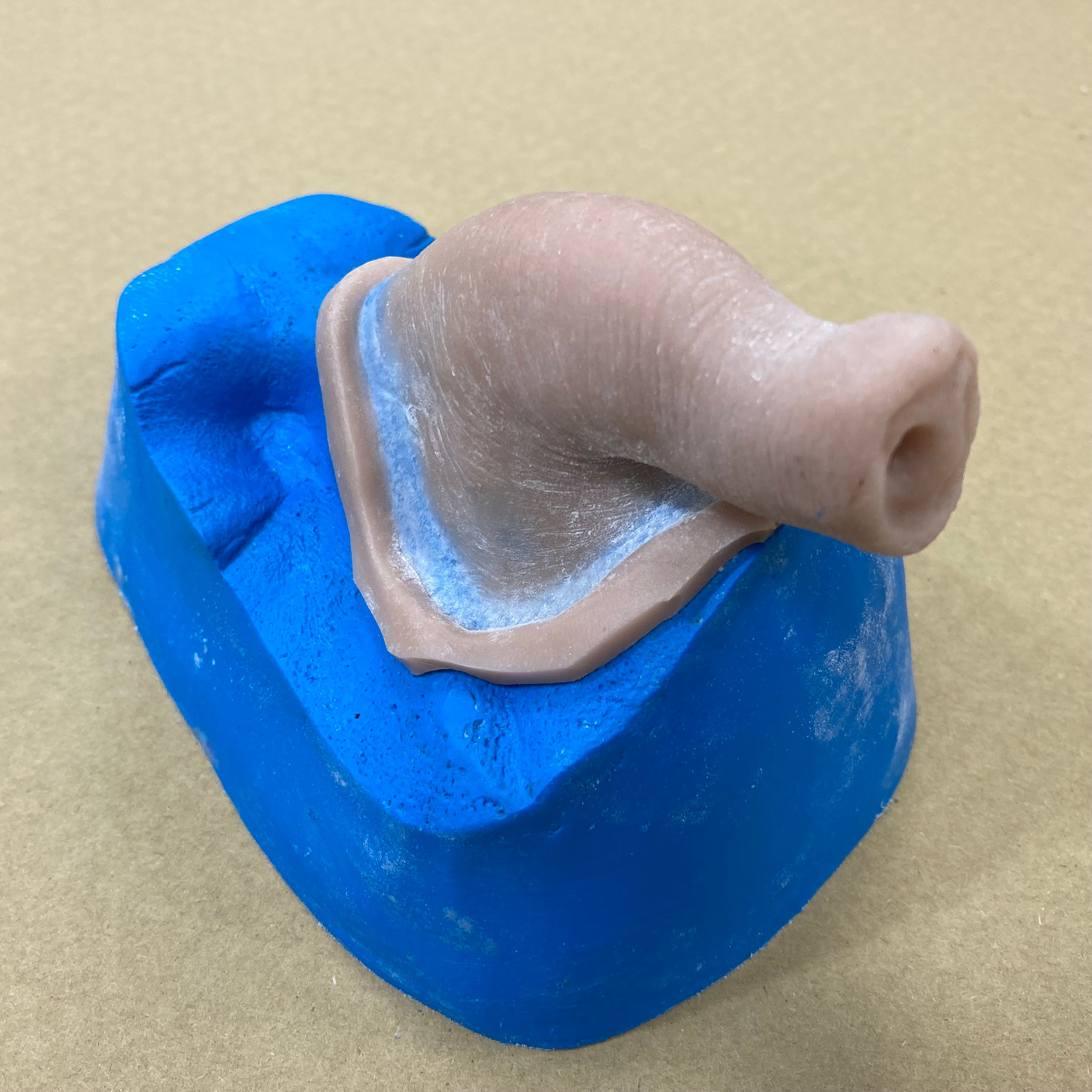 Elephant Trunk Prosthetic - Etsy