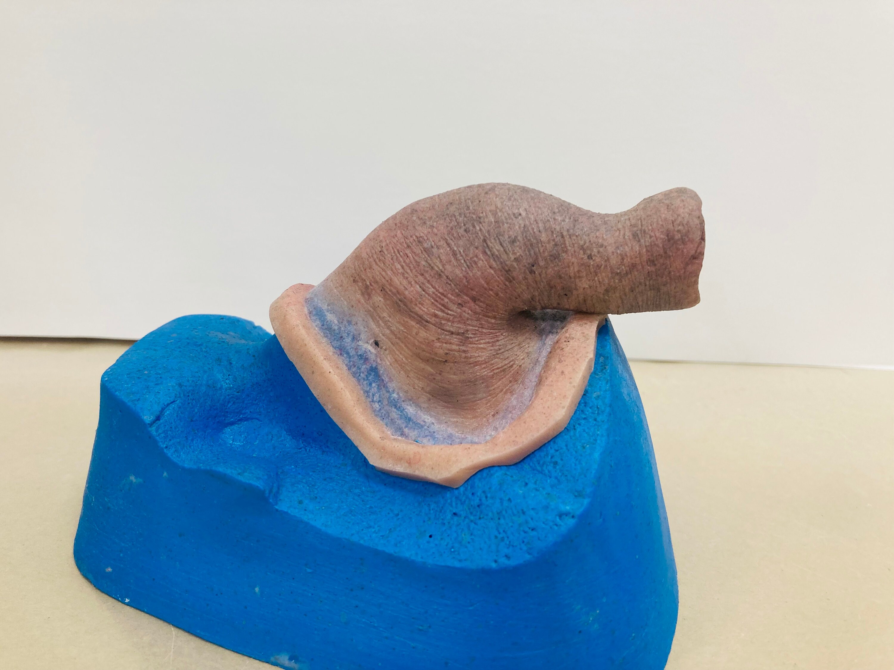 Elephant Trunk Prosthetic - Etsy