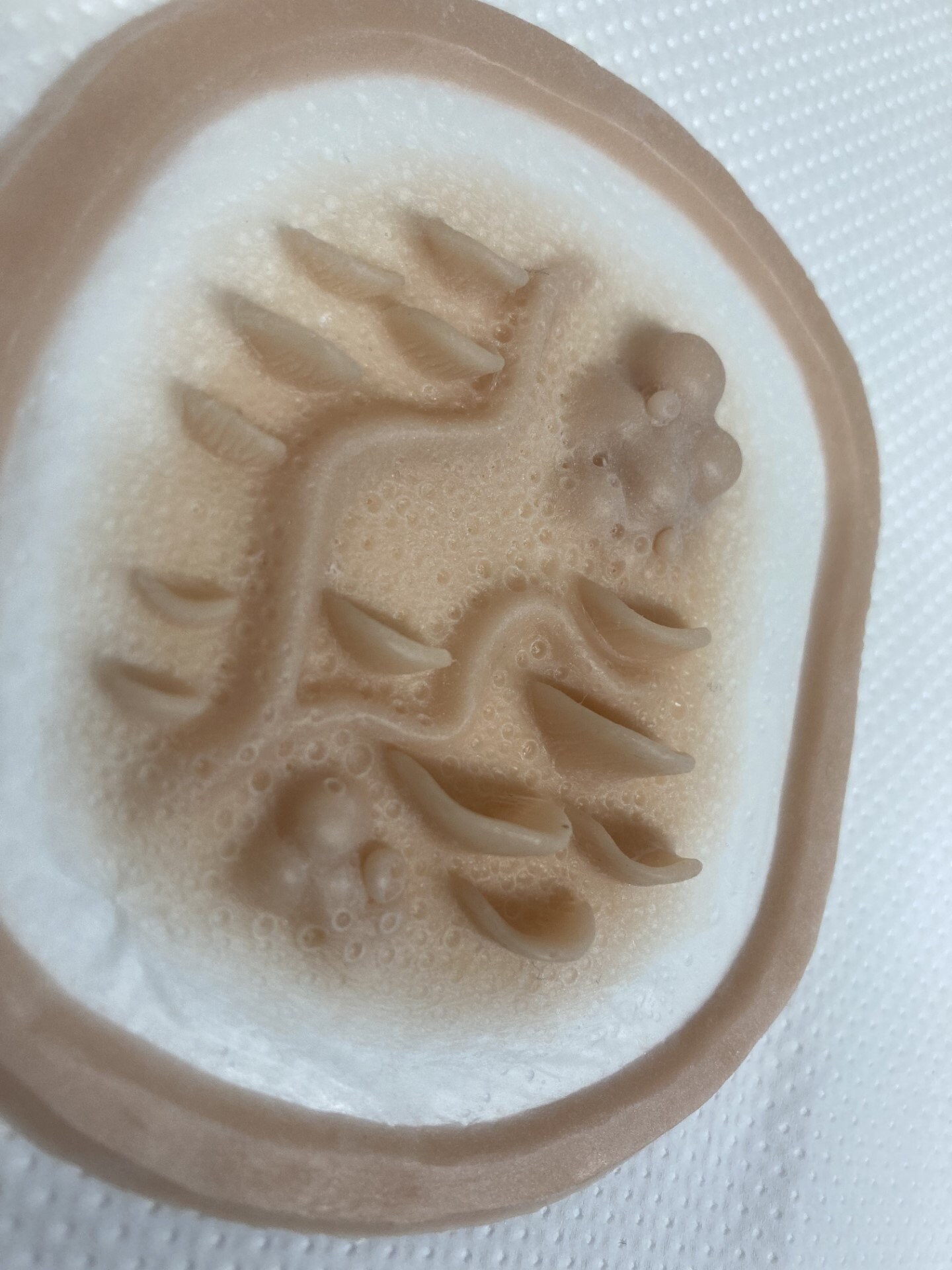 Mini Bracket Mushroom/mutated Skin Prosthetic - Etsy