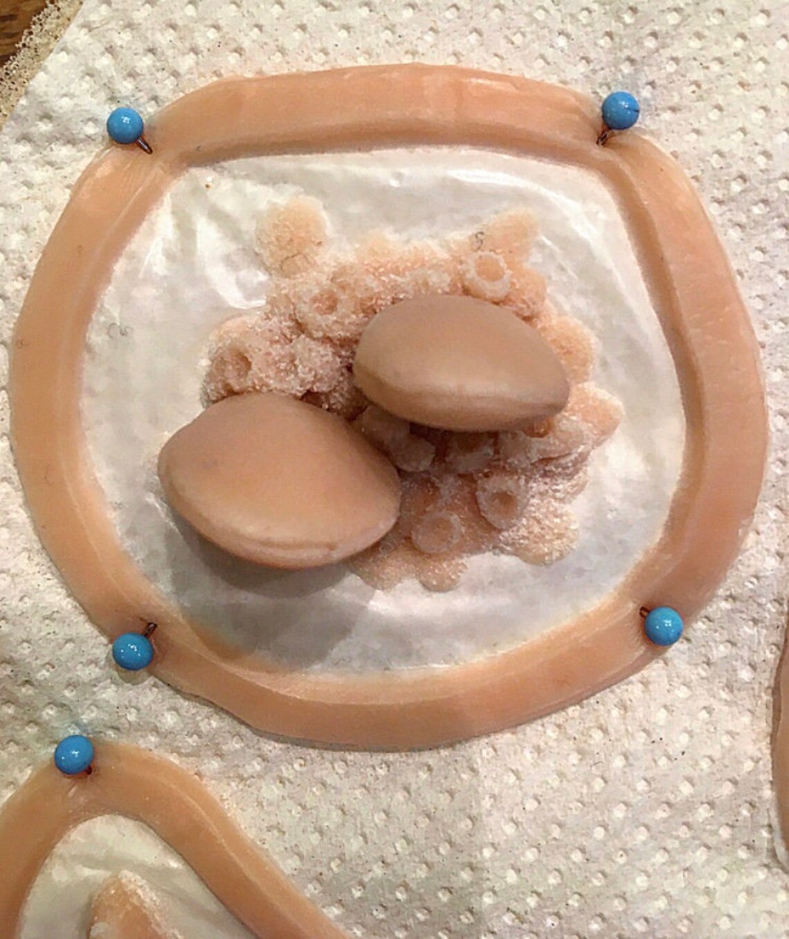 Ocean Sea Prosthetic Set | Etsy