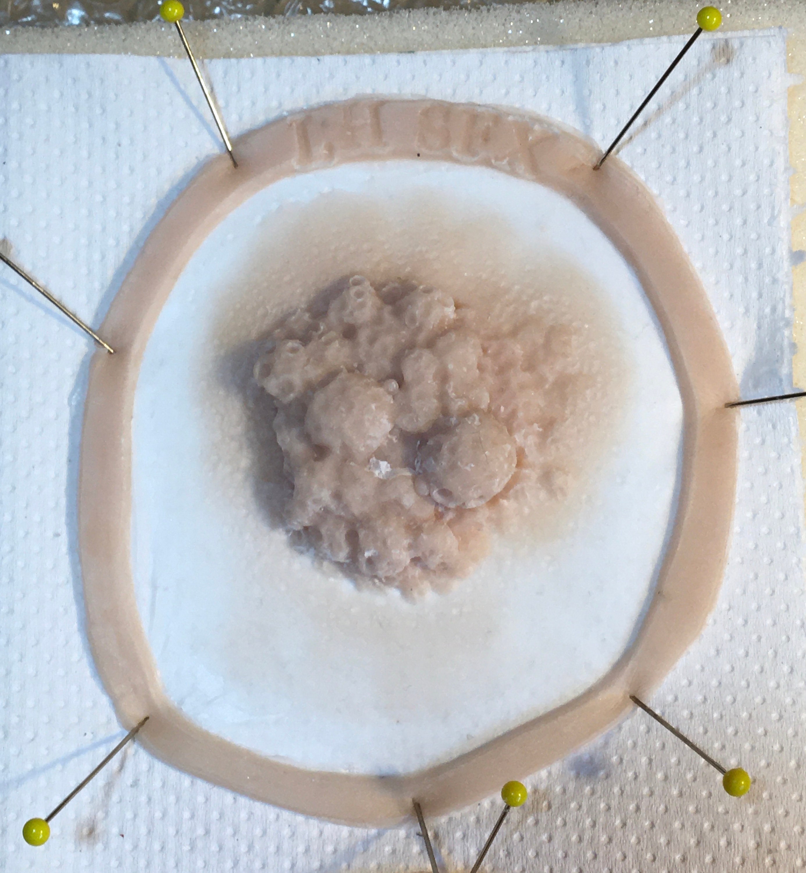 Mutated Skin Prosthetic Set - Etsy