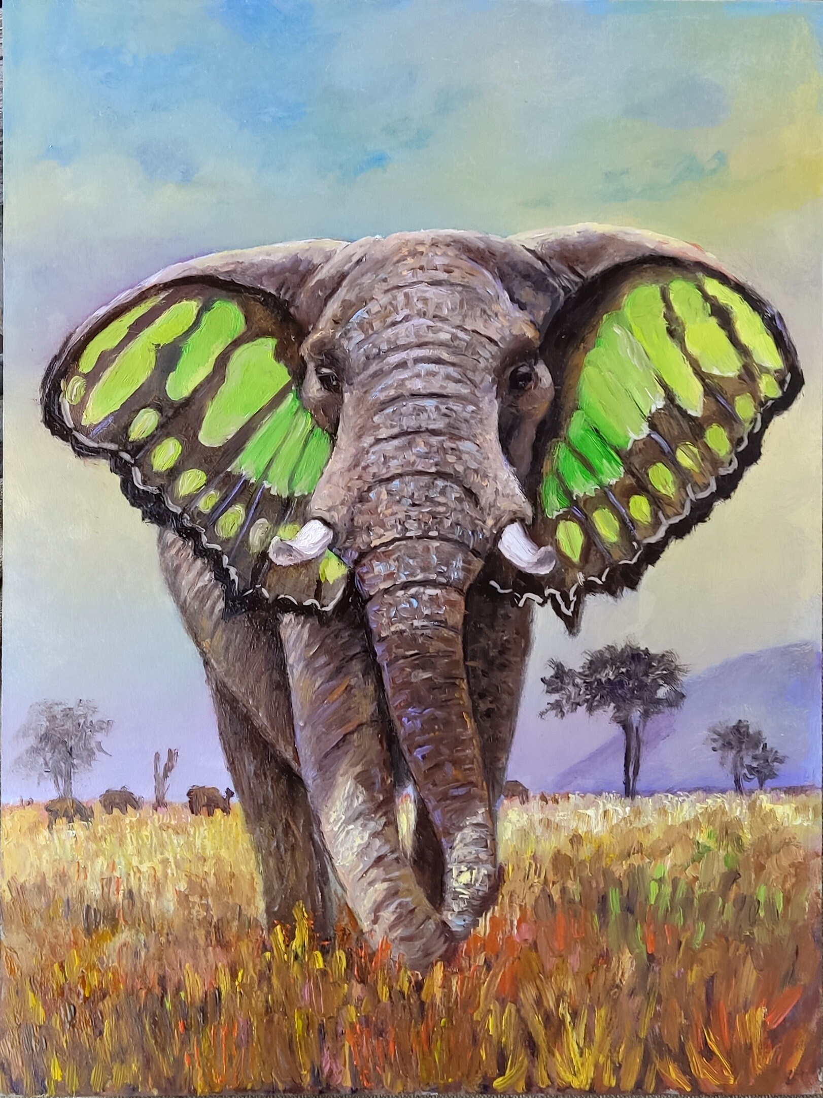 Painted Elephant Butterfly