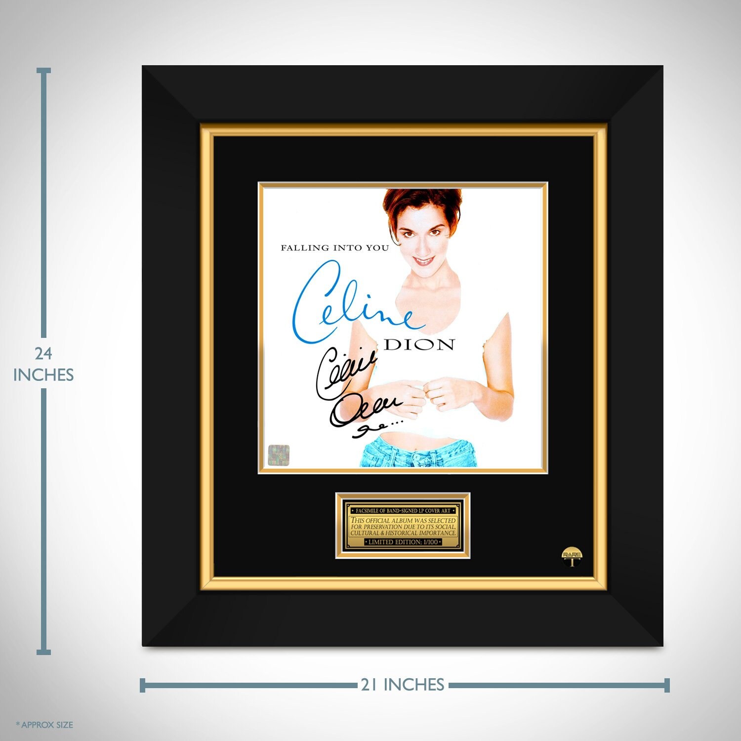 Celine Dion Falling Into You