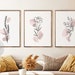 Boho Botanical Print Set of 3 Gallery Wall Art Blush Pink - Etsy