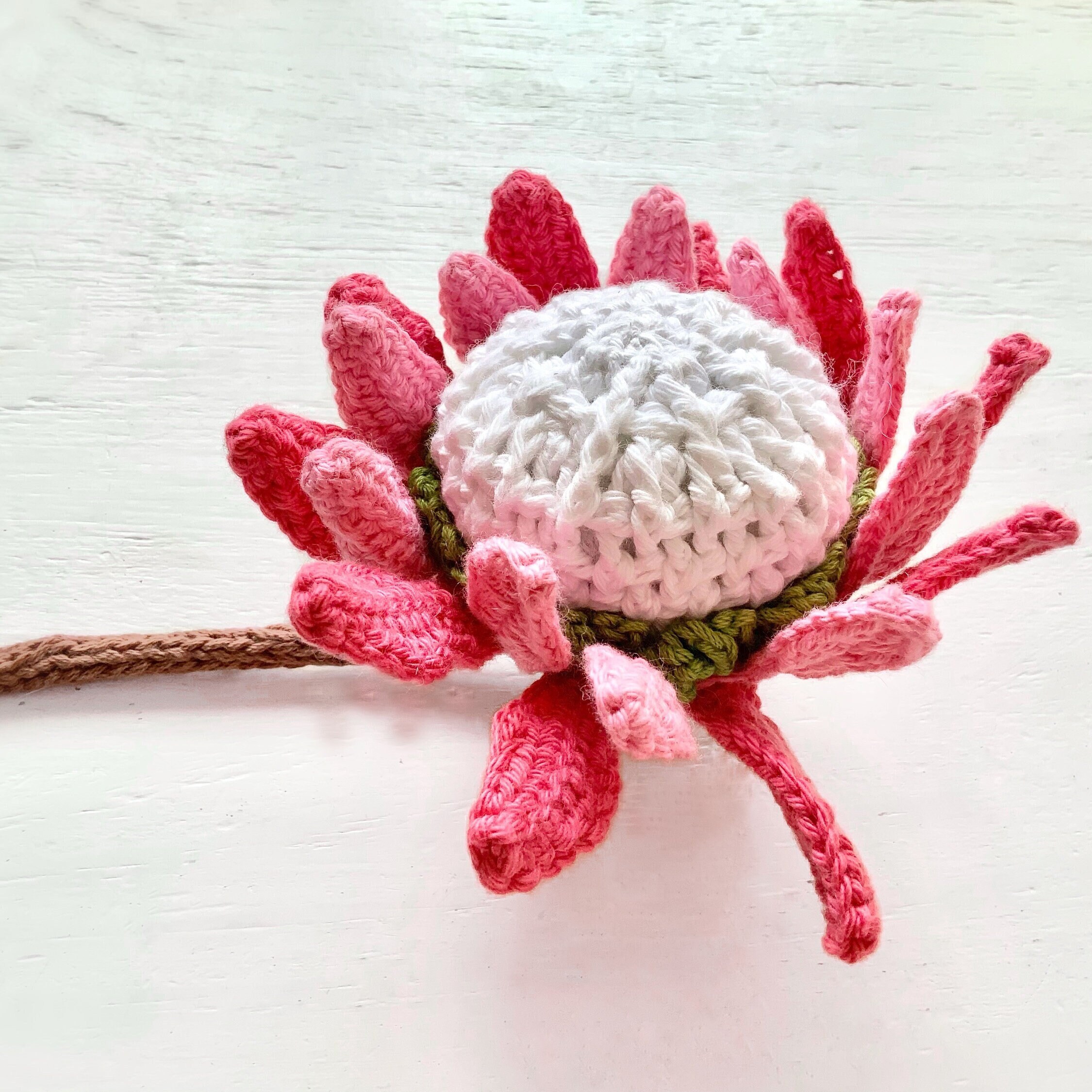 No Sew King Protea Crochet Pattern. Amigurumi Pattern. Crochet Flowers ...