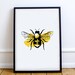 Manchester Yellow Bee Print Design Manchester City Home Decor Living ...