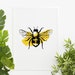Manchester Yellow Bee Print Design Manchester City Home Decor Living ...