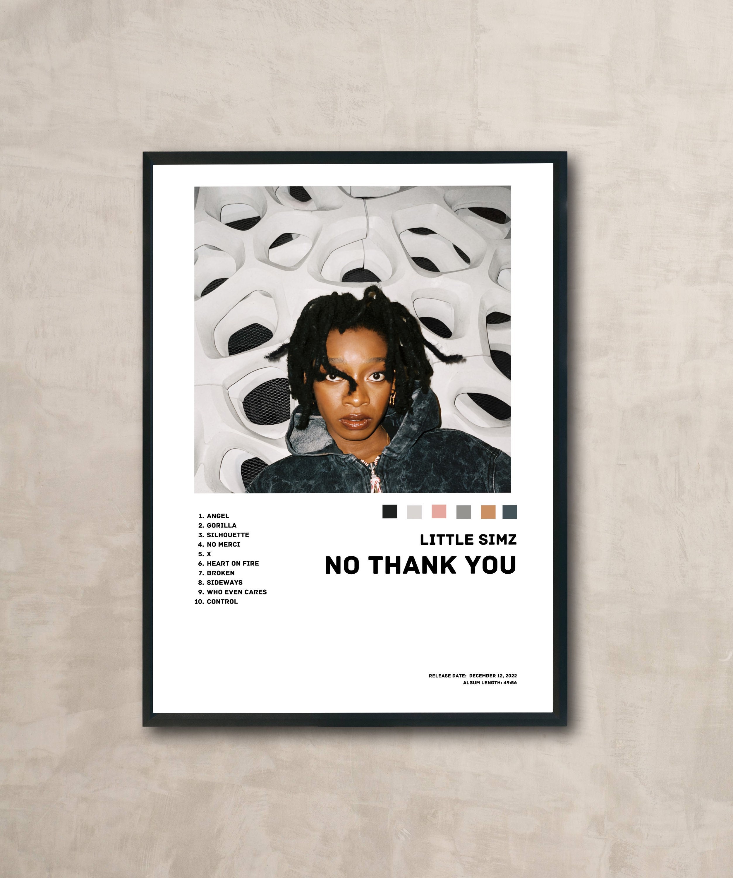 LITTLE SIMZ No Thank YOU Album Poster - Etsy