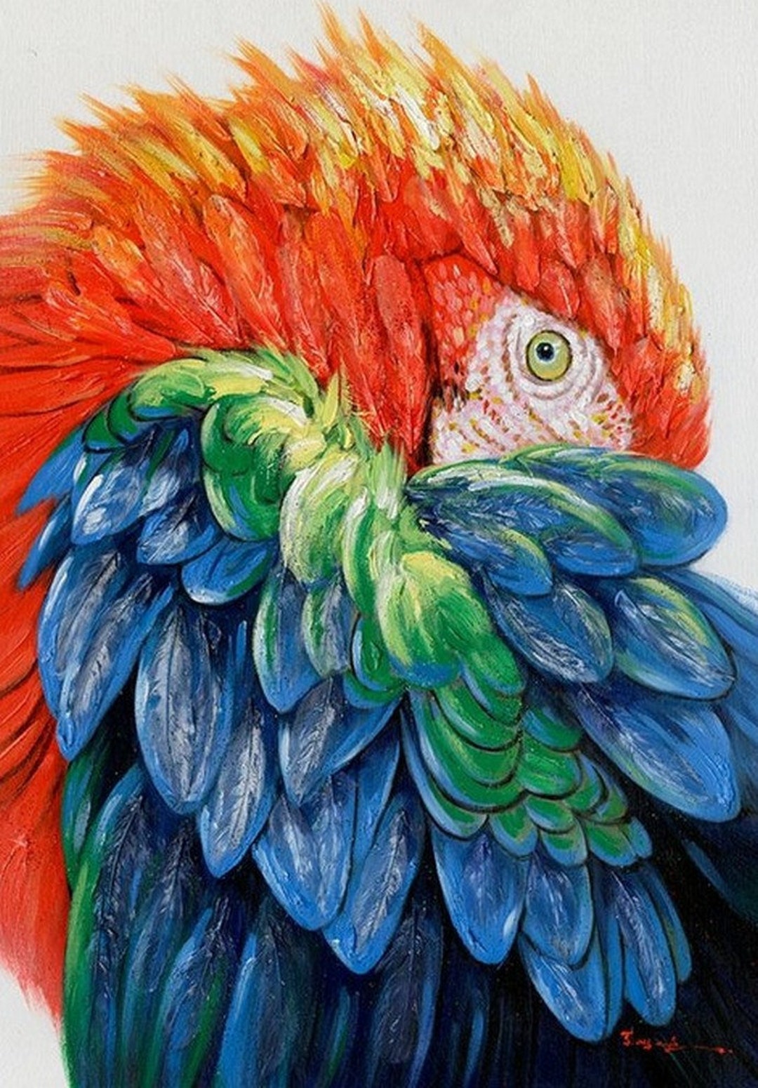 Animal Parrot Painting Acrylic Painting on Canvas / Animal Parrot ...
