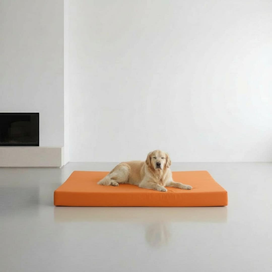 Orange Waterproof Dog Bed: Soft Polyester Crate Mat - Etsy UK