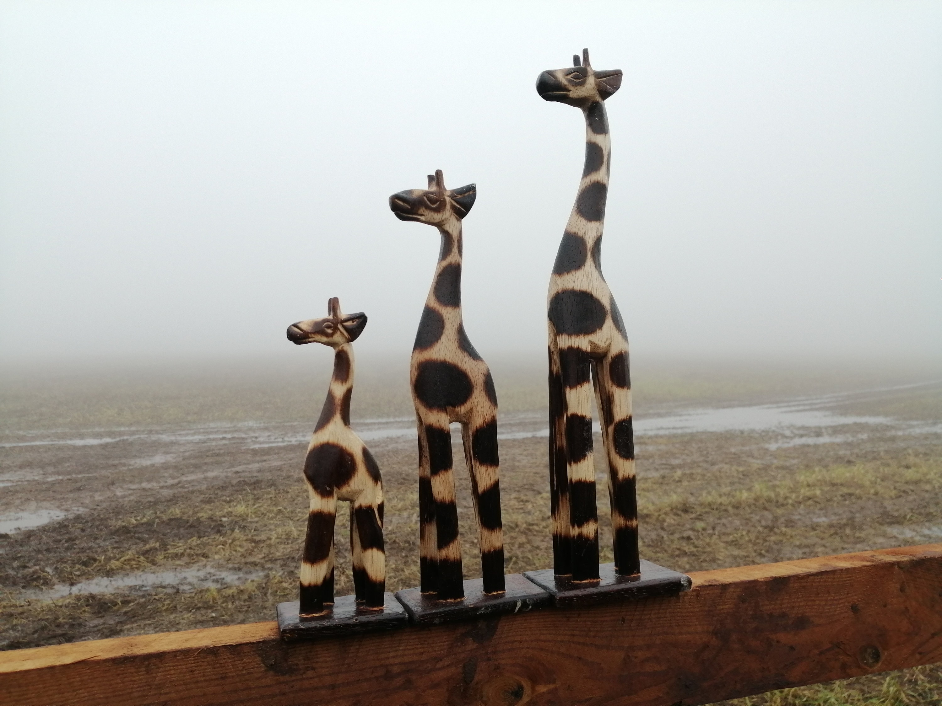 Family of Wooden Giraffes set 3 20/30/40cm gift idea | Etsy