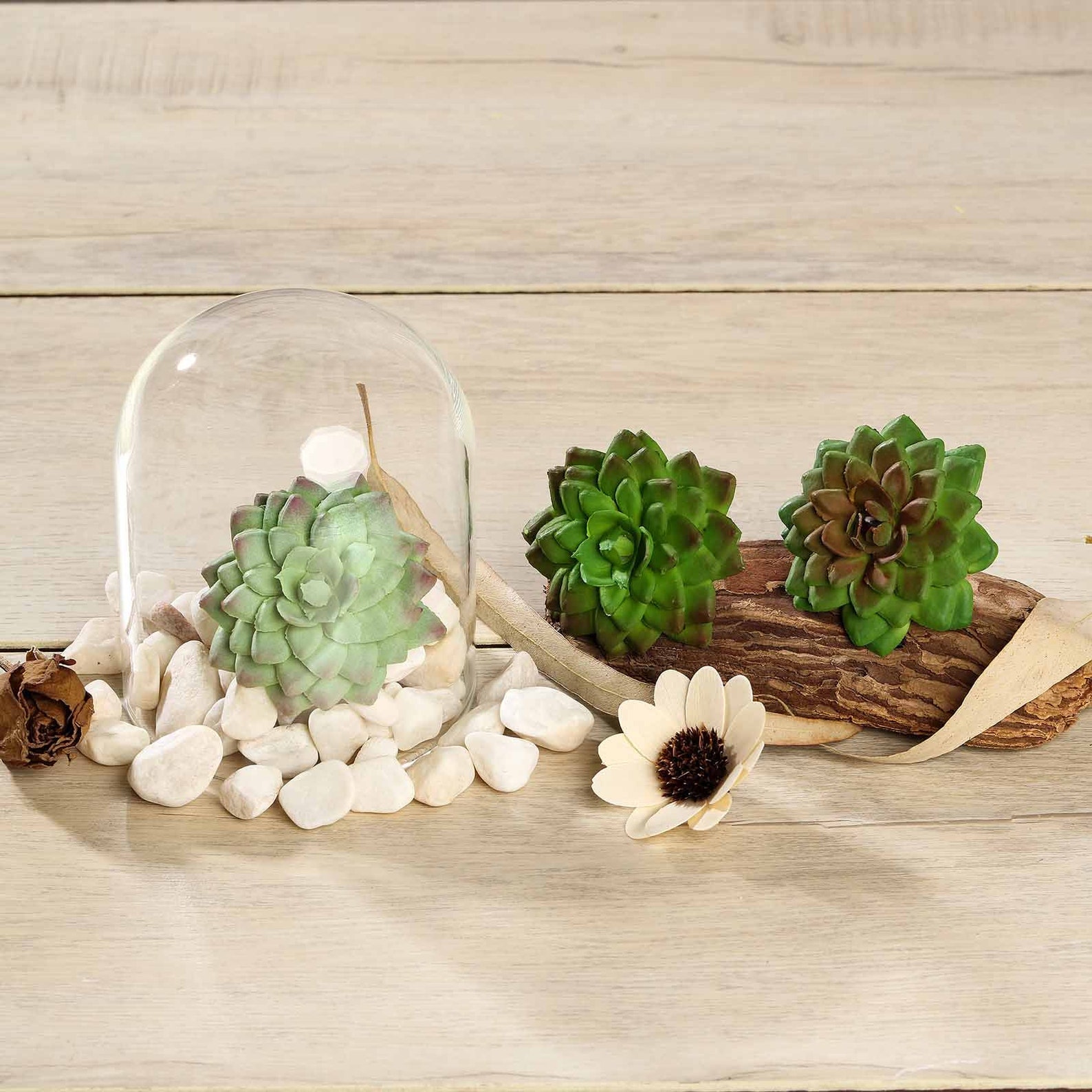 3 Pack 3 Real Touch Succulents Artificial Succulents | Etsy