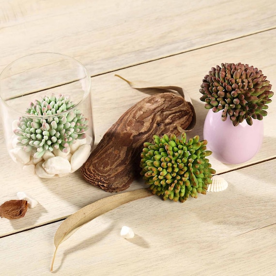 3 Pack 4 Real Touch Succulents Artificial Succulents | Etsy