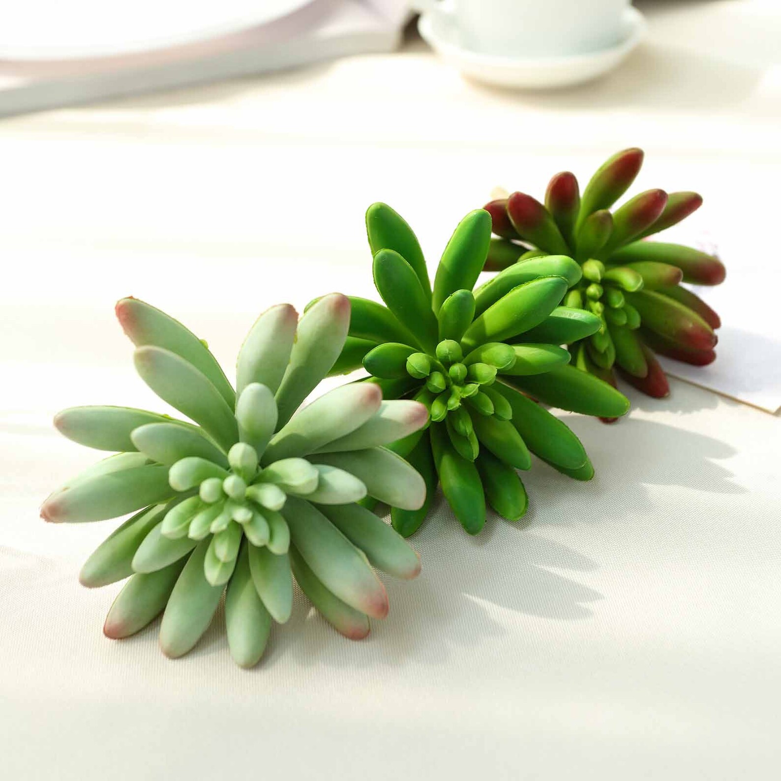3 Pack 6 Real Touch Succulents Artificial Succulents | Etsy