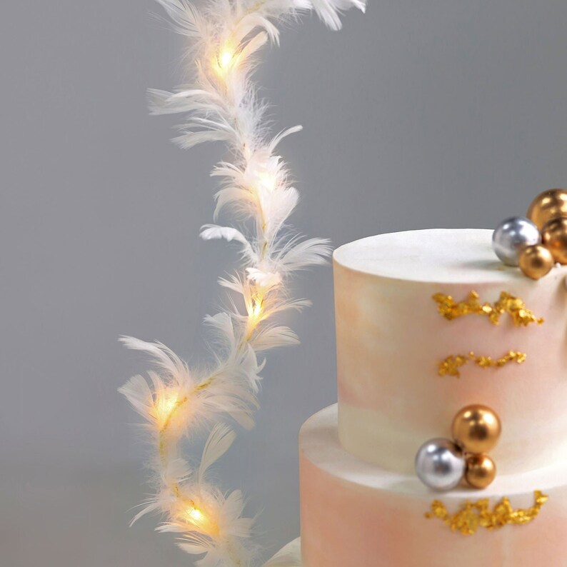 Real Feather LED Wedding Cake Topper LED Light up Cake - Etsy