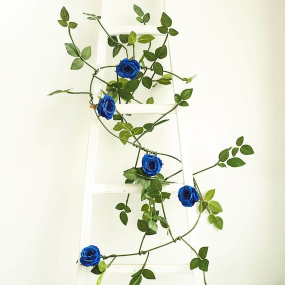 Blue Rose Vine