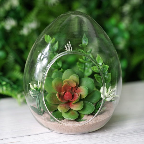 Hanging Terrariums - Etsy
