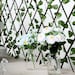 Artificial Expandable Faux Ivy Fence Privacy Screen, Lattice ...
