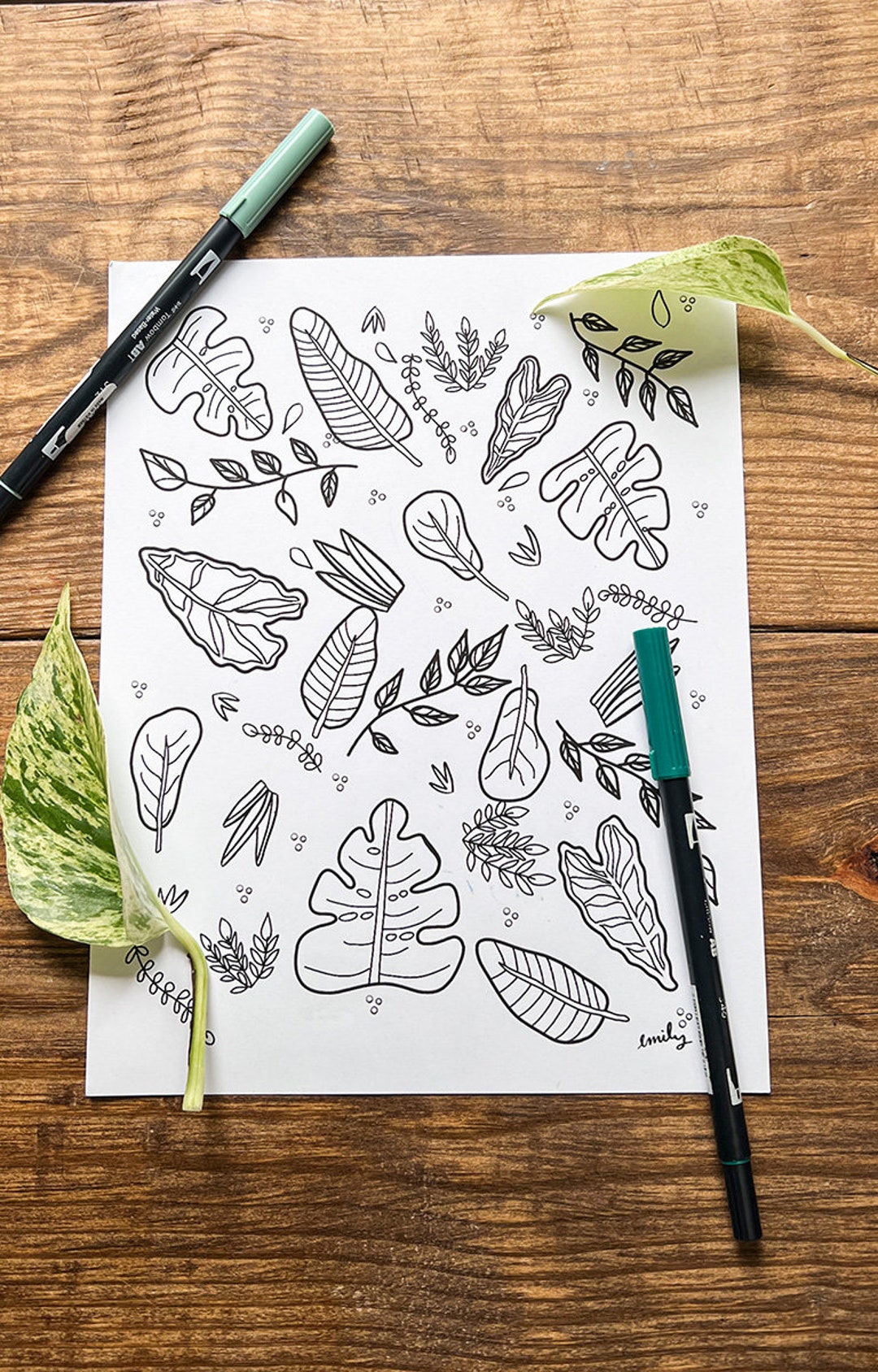 Tropical Plant Botanical Coloring Page - Etsy UK