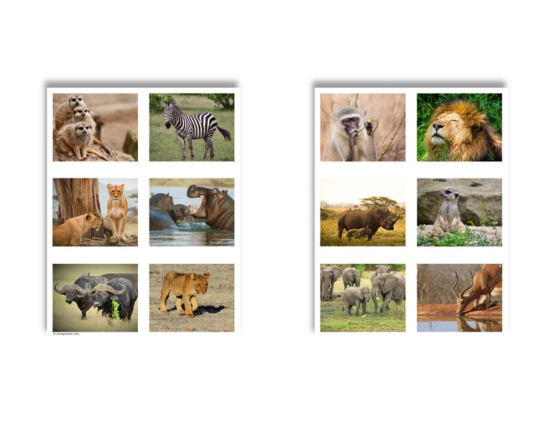 Safari Adventure: Printable Memory & Match Game for Dementia - Etsy