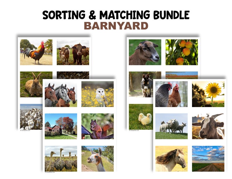 Barnyard Fun: Printable Matching and Sorting Game for Memory - Etsy