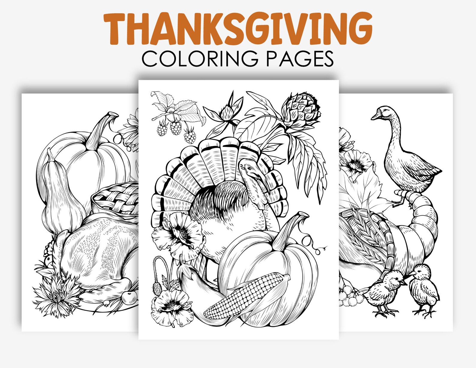 Thanksgiving Coloring Pages - A Festive Art Adventure! - Etsy