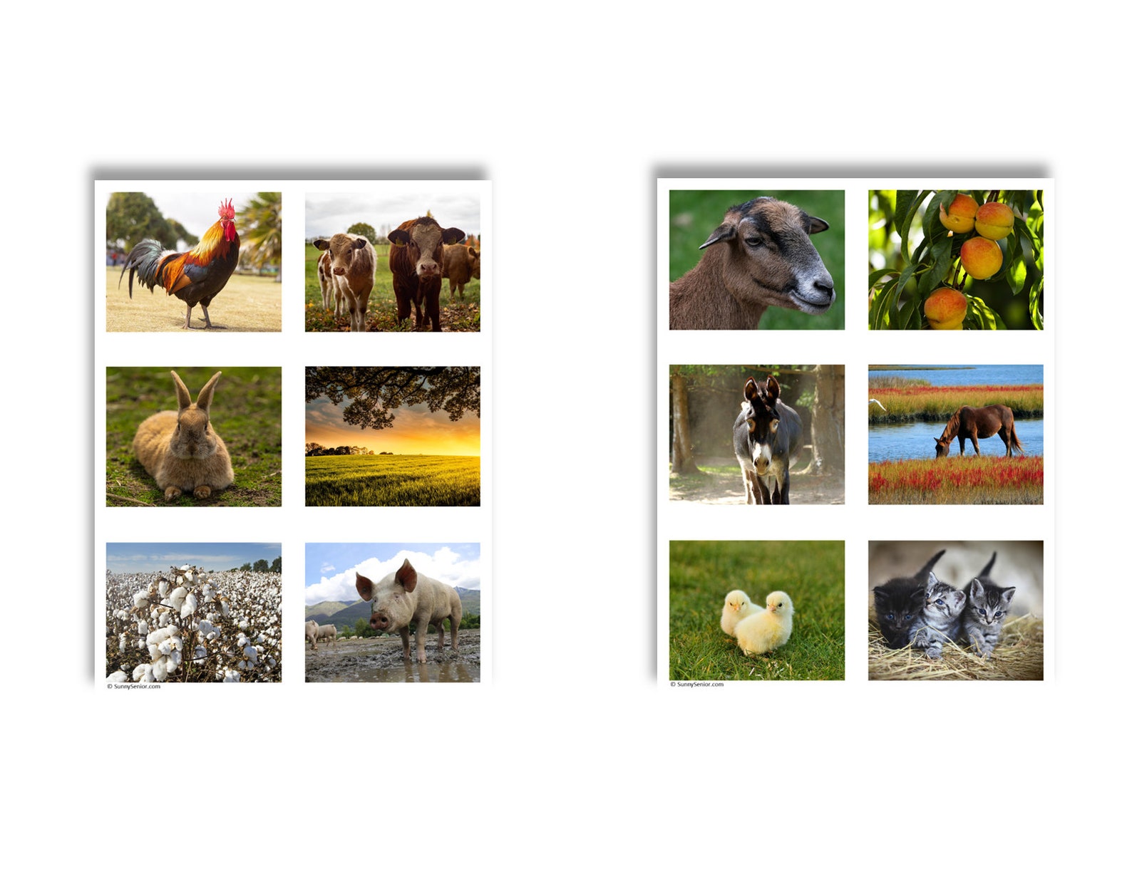 Barnyard Fun: Printable Matching and Sorting Game for Memory - Etsy