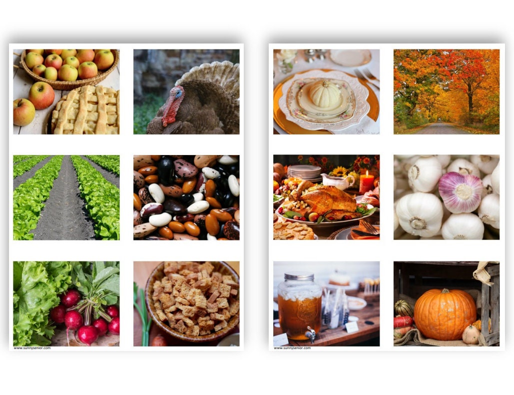 Thanksgiving Memory Match: A Printable Sorting and Matching Game for ...