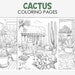 18 Printable Cactus Coloring Pages Fun and Creative Desert Designs - Etsy