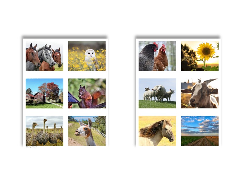 Barnyard Fun: Printable Matching and Sorting Game for Memory - Etsy