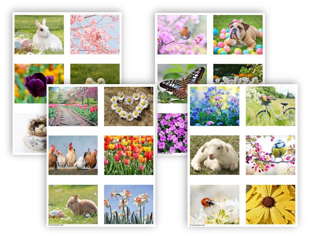 Memory Match: A Printable Sorting and Matching Game for Dementia Care ...