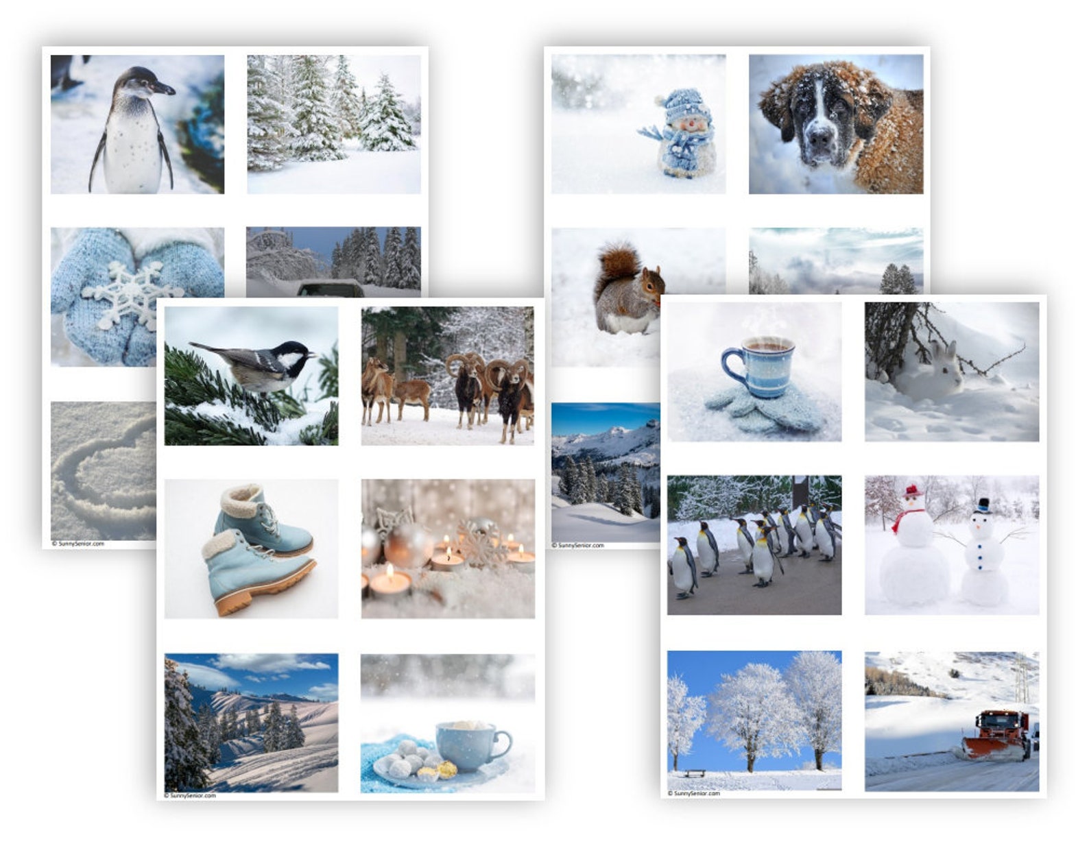 Memory Match: A Printable Sorting and Matching Game for - Etsy