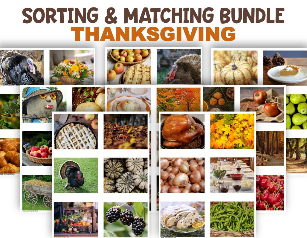 Thanksgiving Memory Match: A Printable Sorting and Matching Game for ...