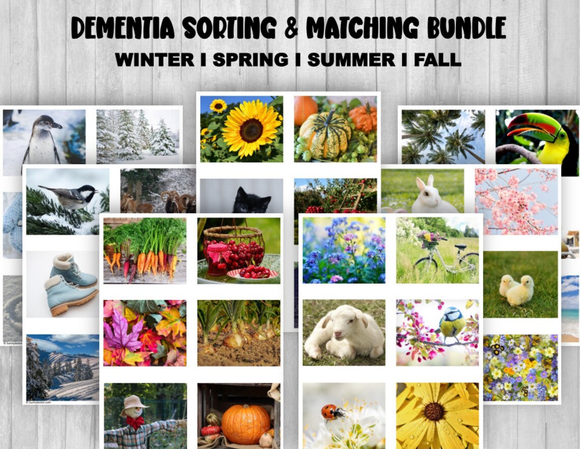 Memory Match: A Printable Sorting and Matching Game for - Etsy