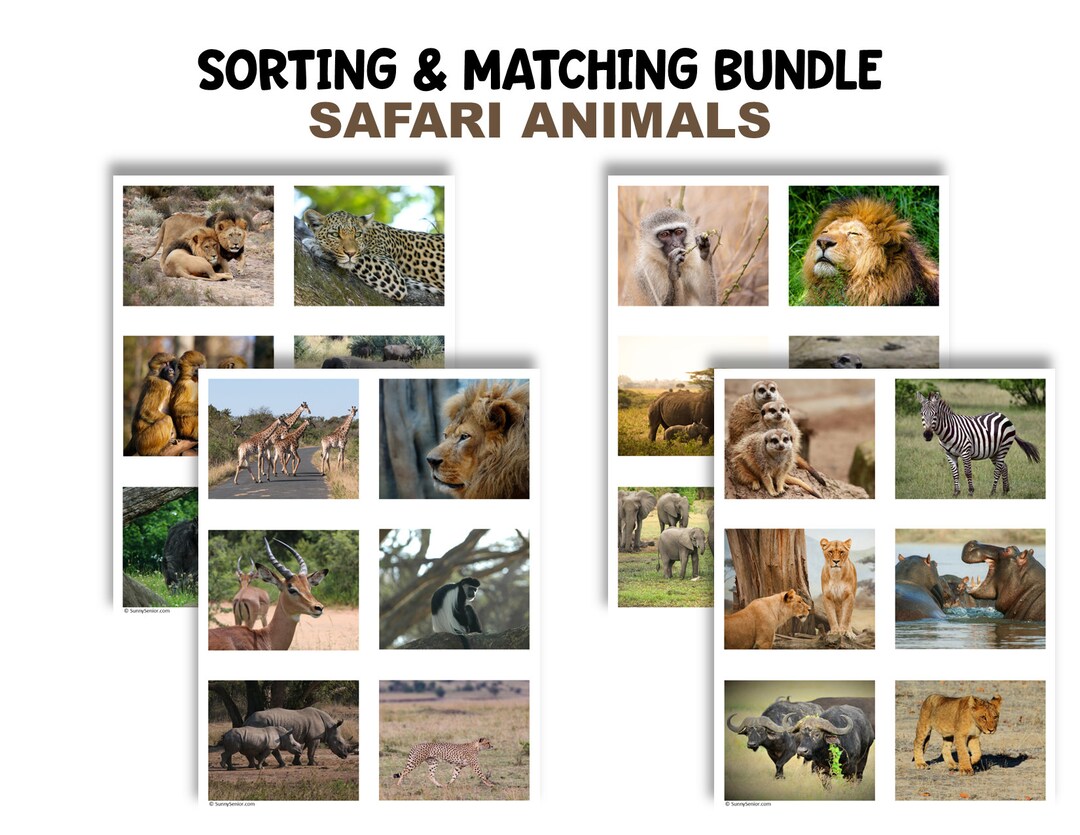 Safari Adventure: Printable Memory & Match Game for Dementia - Etsy