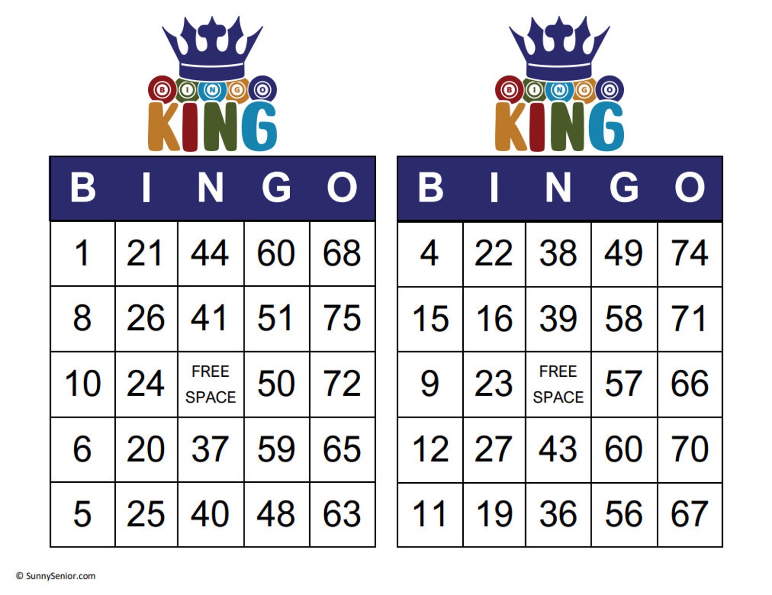 Become the Bingo King With These Printable Cards - 1000 Pack - Etsy
