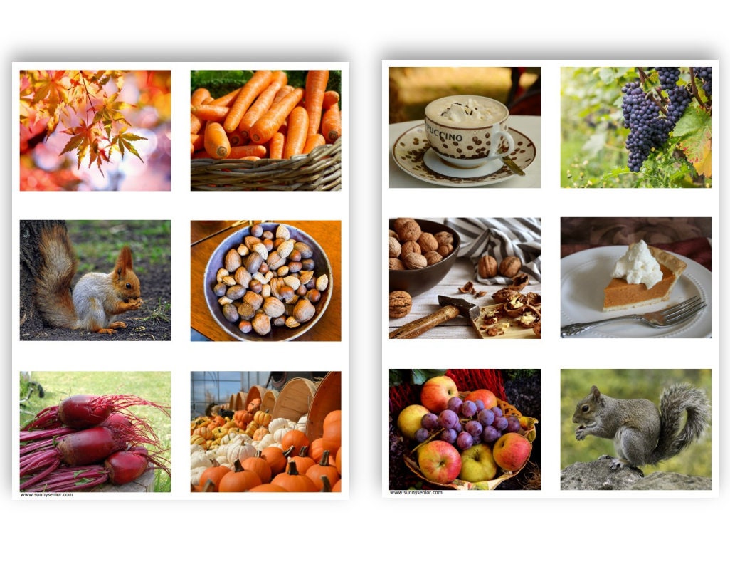 Thanksgiving Memory Match: A Printable Sorting and Matching Game for ...