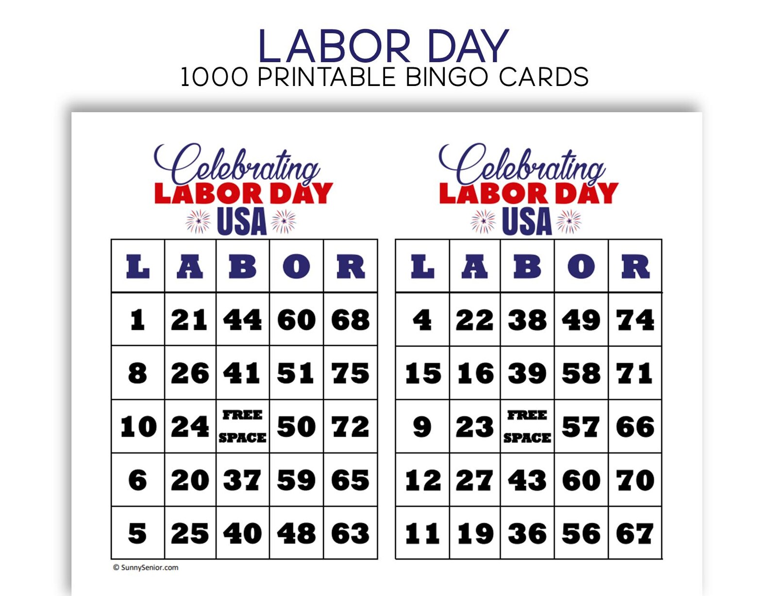 Labor Day Bingo for Your Party - 1000 Printable Cards - Etsy