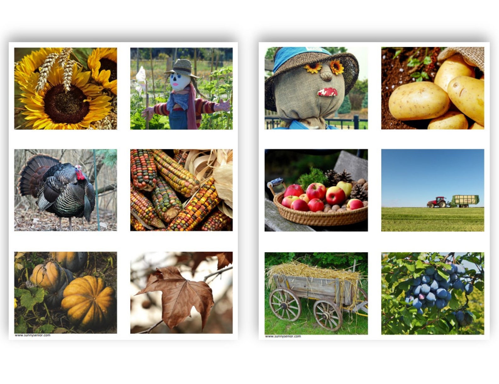 Thanksgiving Memory Match: A Printable Sorting and Matching Game for ...