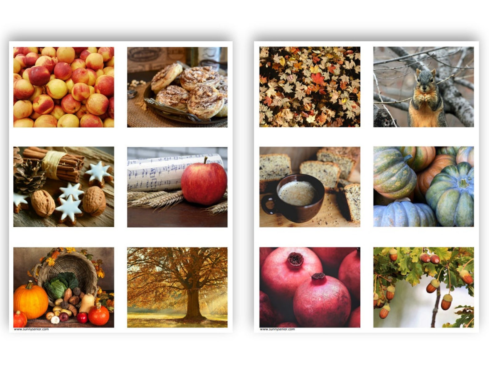 Thanksgiving Memory Match: A Printable Sorting and Matching Game for ...