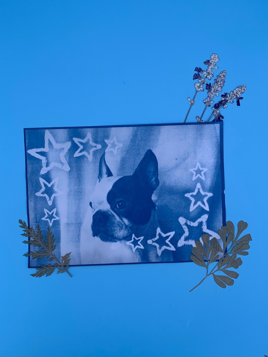 Custom Personalised Photo Cyanotype With Star Frame A5 - Etsy