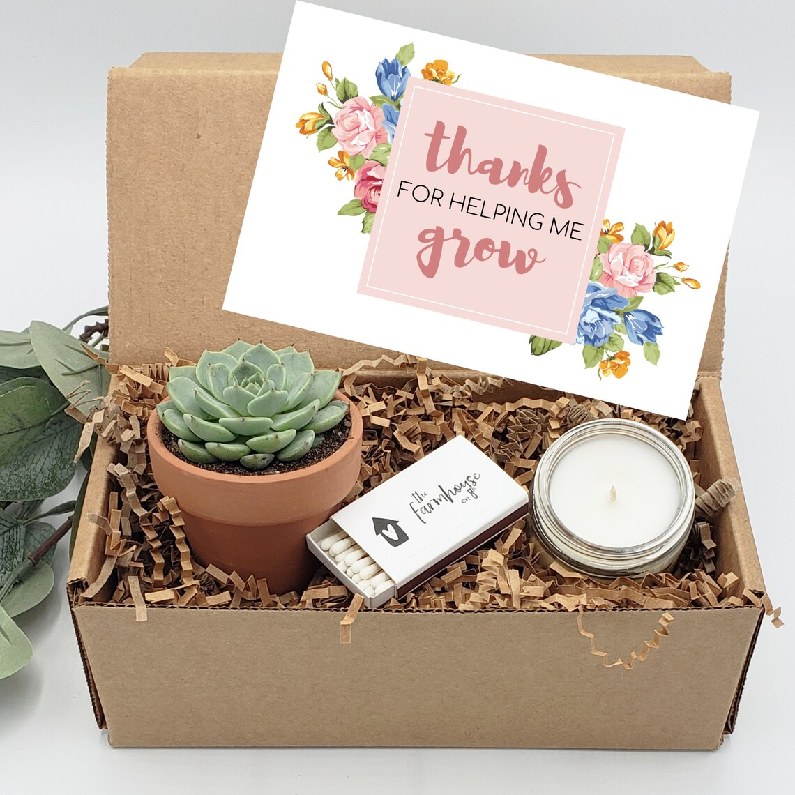 Thank You for Helping Me Grow Thank You Succulent Gift Box A - Etsy