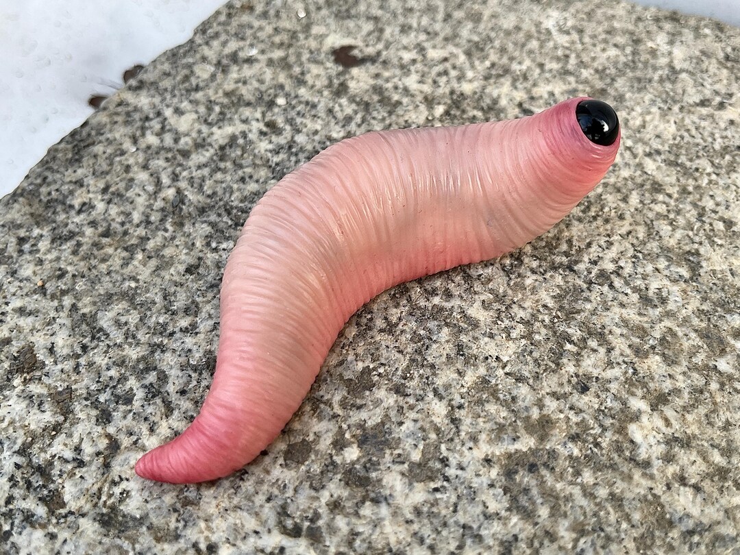 Skin Worm, Sculpture, Weird, Fleshy, Worm, Handmade, OOAK - Etsy