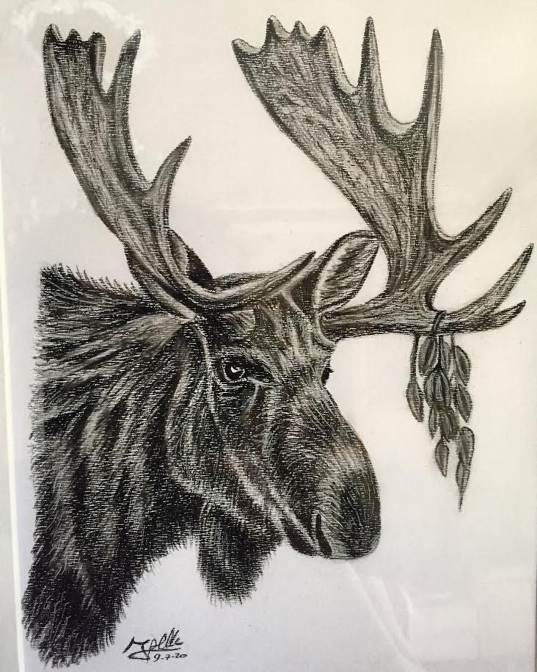 Original Charcoal Drawing Elk - Etsy