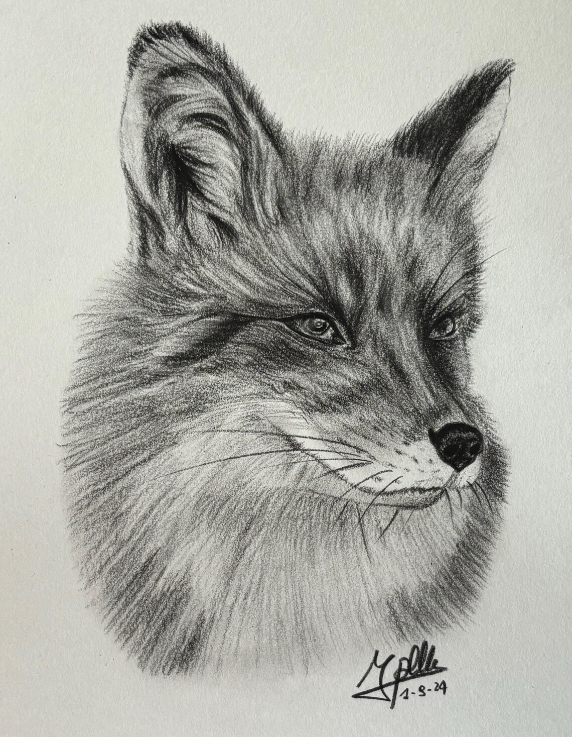 Original Charcoal Drawing Fox - Etsy