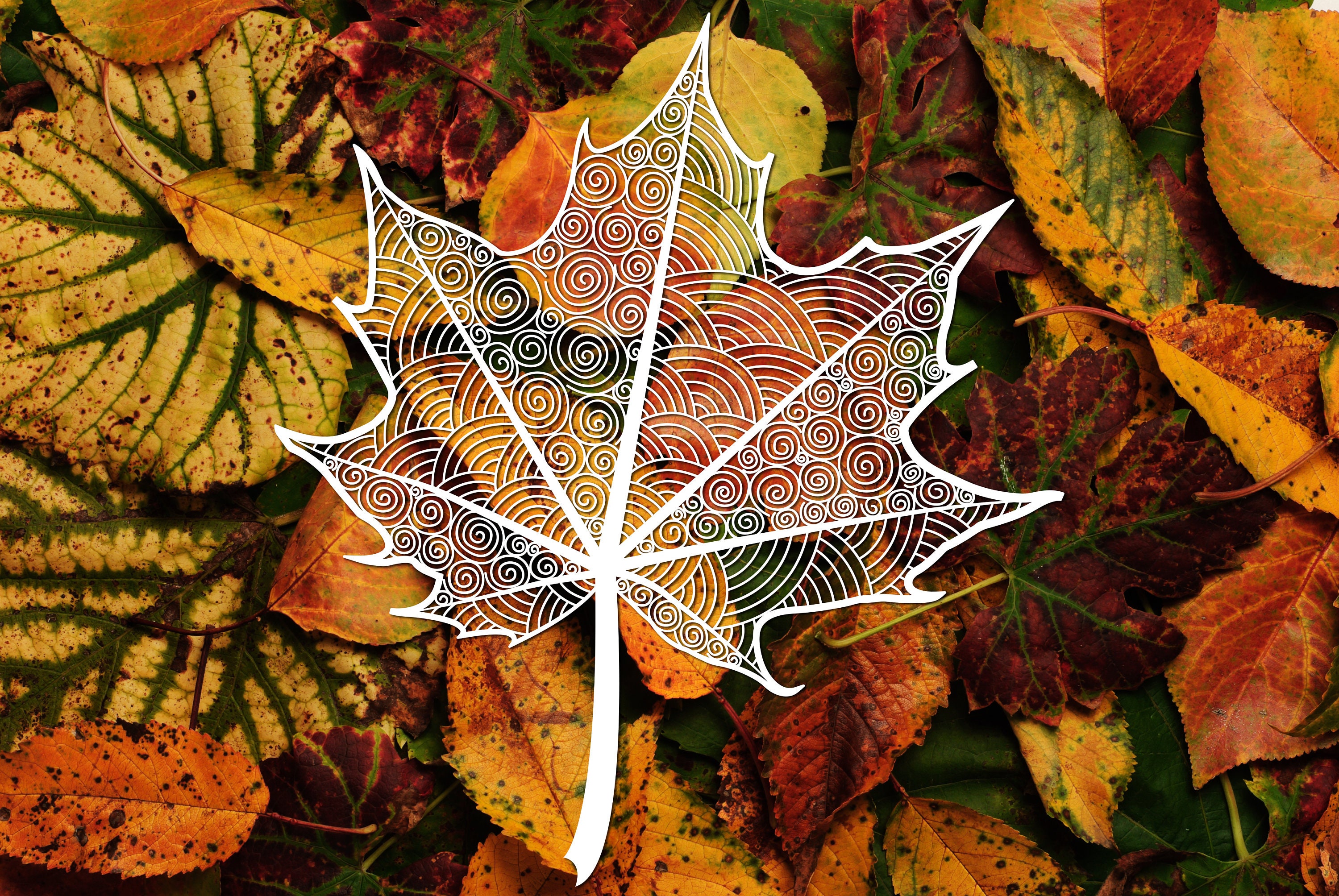 Set Zentangle autumn leaves SVG maple leaf symbol Canada | Etsy