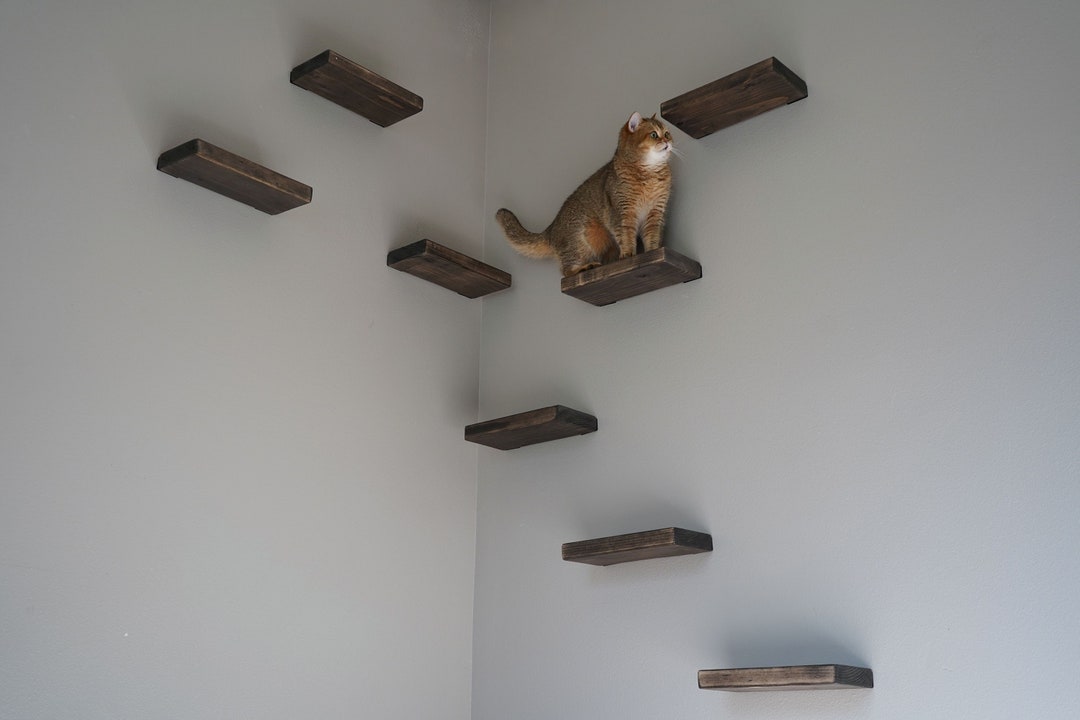Cat Steps, Wall-mounted Pet Furniture, Cat Shelves, Solid Hardwood ...