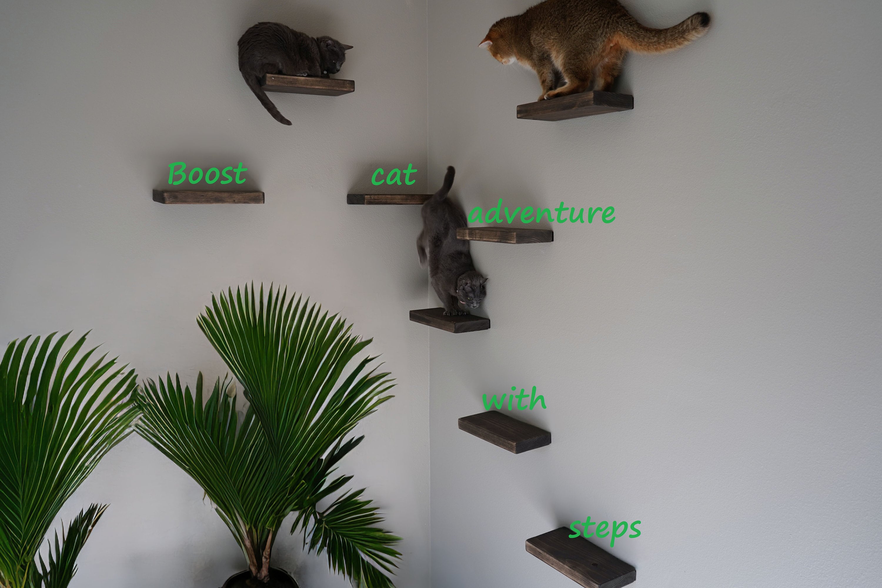 Cat Steps, Wall-mounted Pet Furniture, Cat Shelves, Solid Hardwood ...