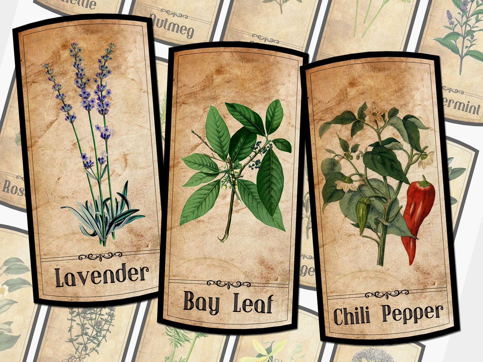 Herbal Apothecary Labels, Herbs Apothecary Labels, Printable Labels ...