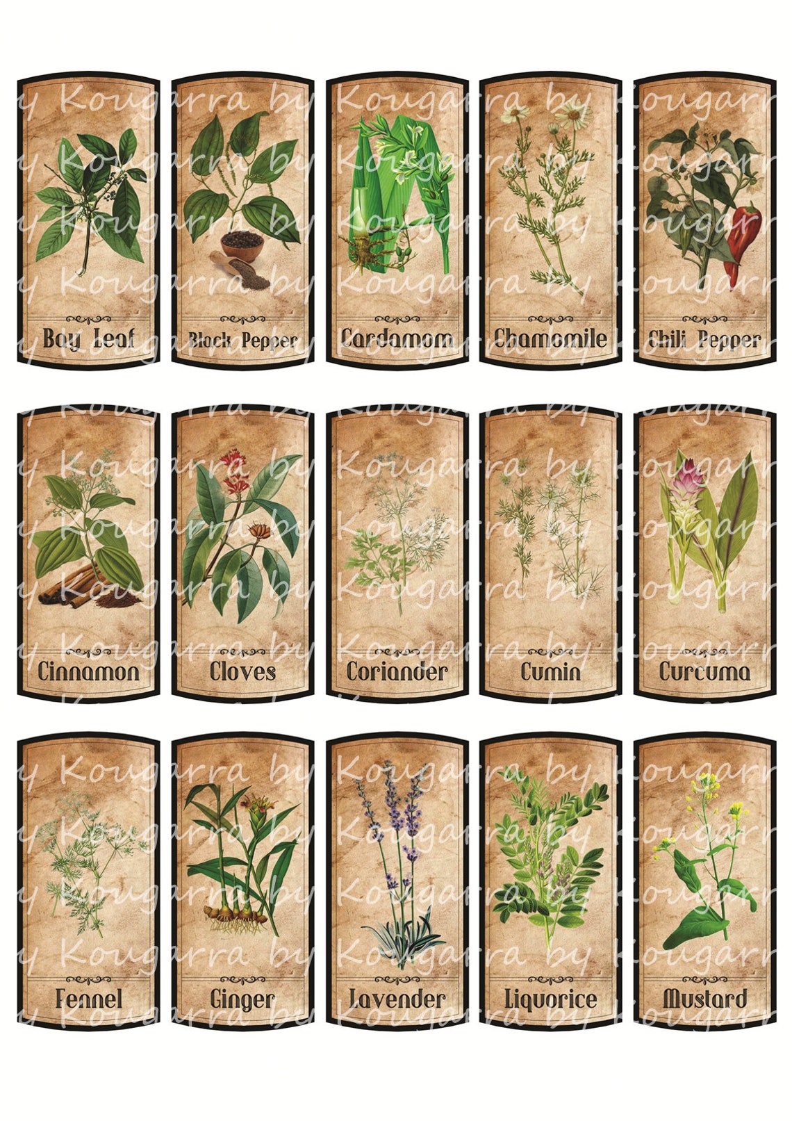 Herbal Apothecary Labels, Herbs Apothecary Labels, Printable Labels ...